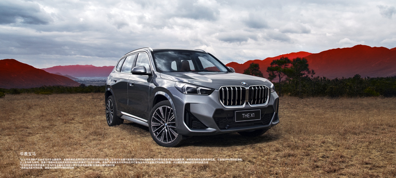 全新BMW X1：详情